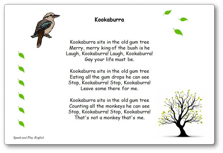 Kookaburra Sits in the Old Gum Tree Song - Lyrics in English and French ...